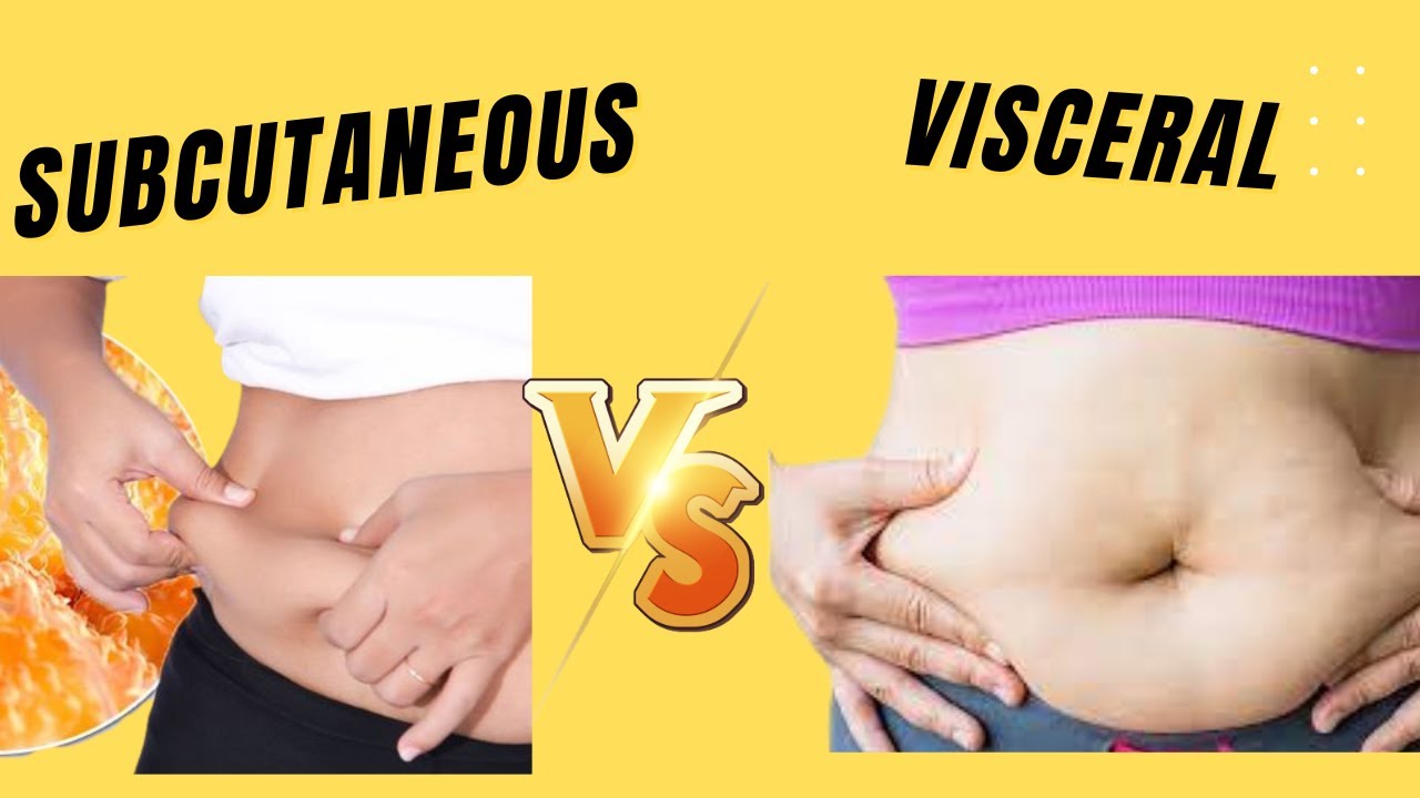 Visceral Fat vs. Subcutaneous Fat: What’s the Difference? – Mindful Musings